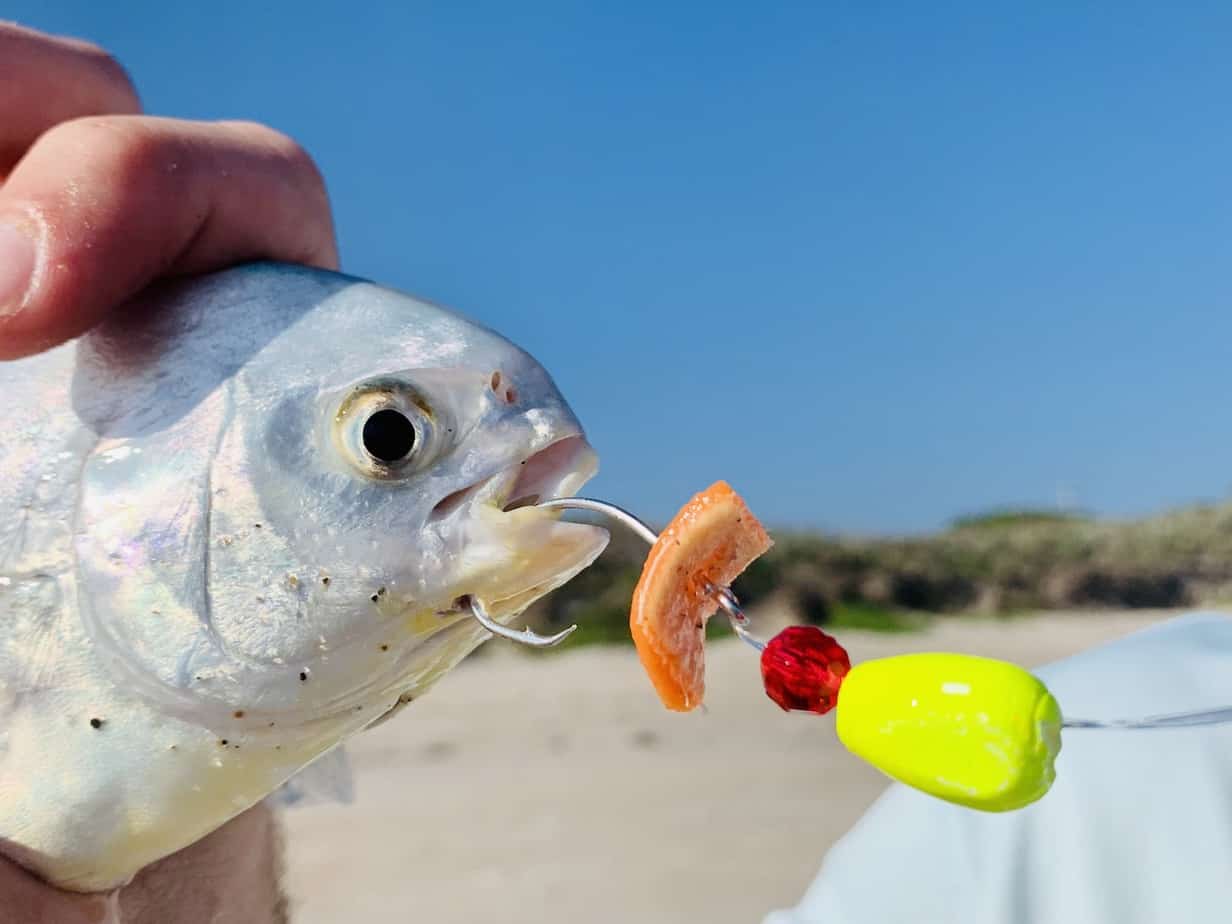 How Many Hooks Can You Have on a Line in Florida? – Tight Lines and ...