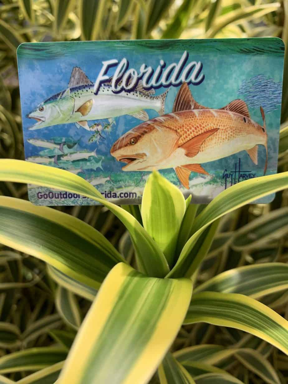 Florida Fishing-When is a Fishing License Required? – Tight Lines and ...