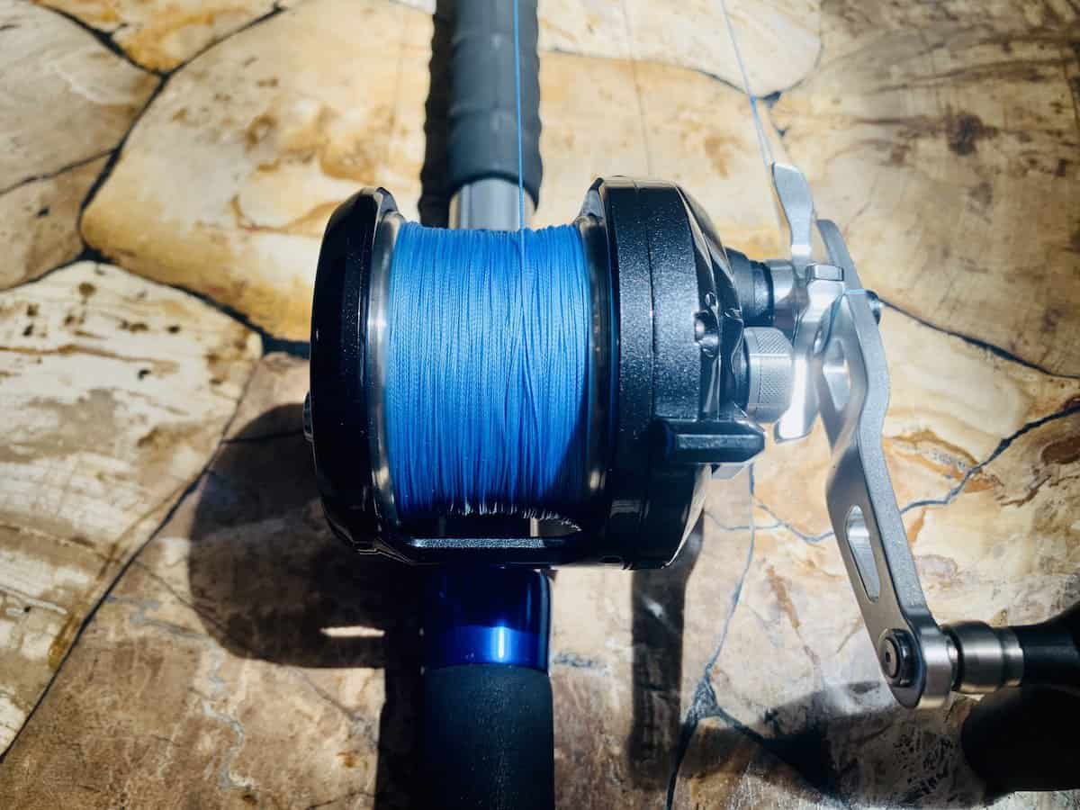 Why I Bought THESE Bottom Reels – Tight Lines and High Tides